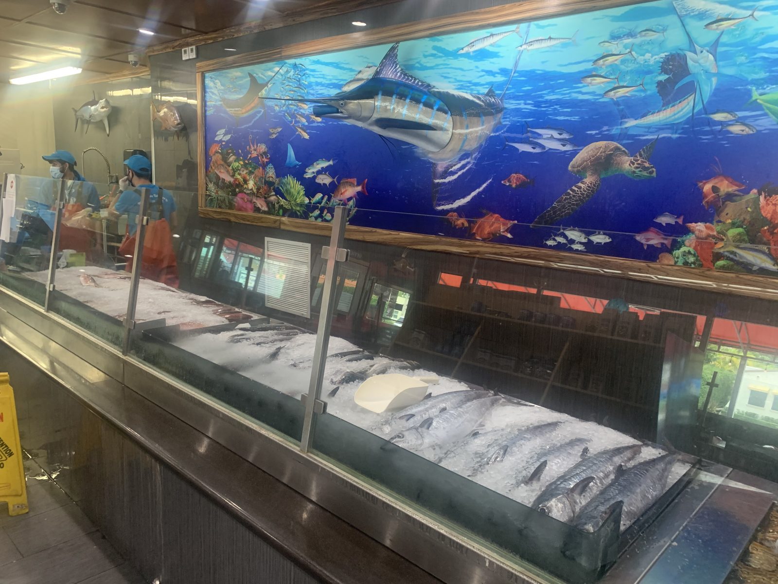 Miami Fresh Fish Markets, and Pick for the Best: MiamiCurated