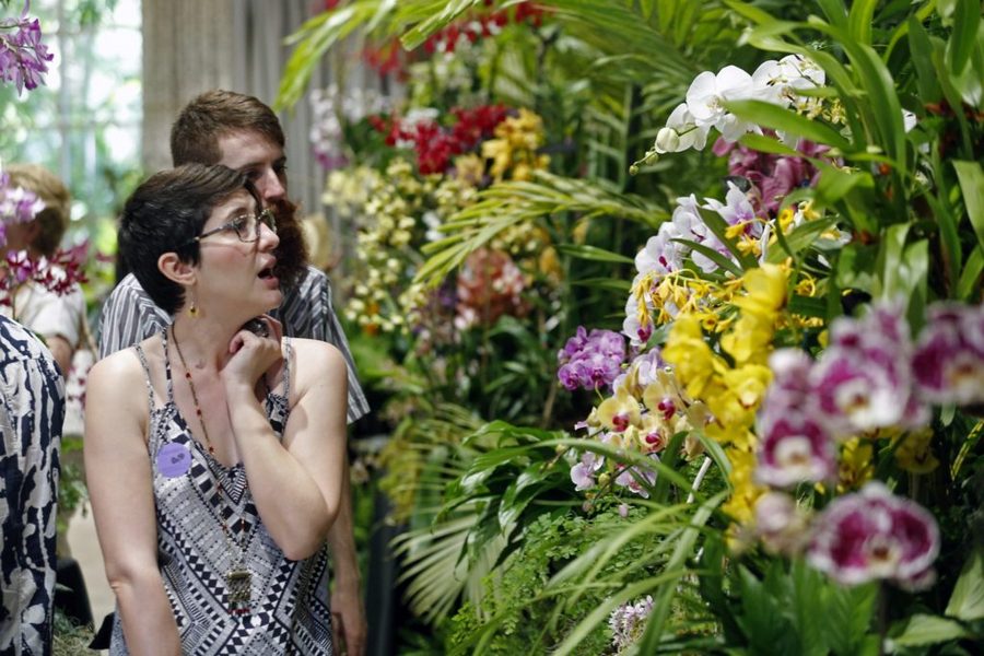 7 Best Botanical Gardens in Miami and More: MiamiCurated