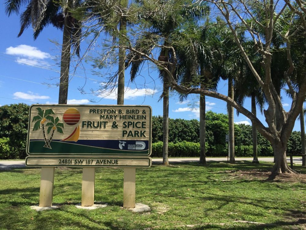 Things to Do in Homestead for All Tastes: MiamiCurated