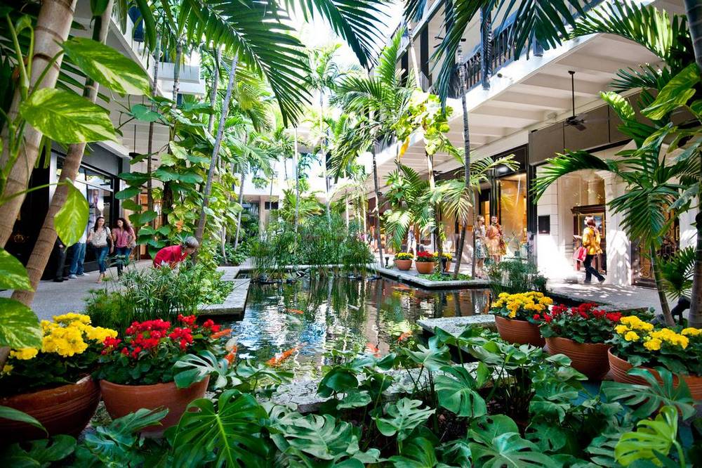 Things to Do in Miami in October for All Tastes: MiamiCurated