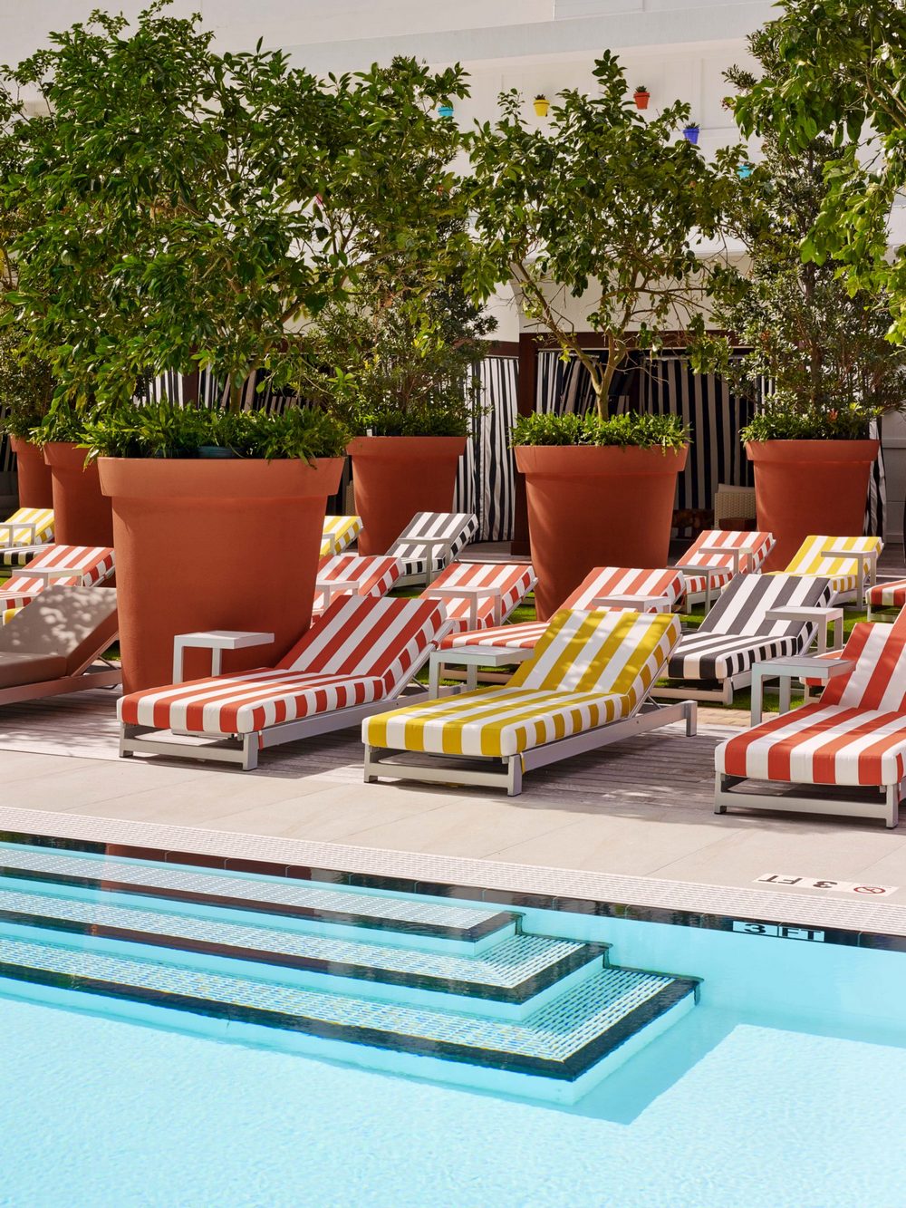 Miami Pools, Top Ones With Day Passes, Beach - MiamiCurated