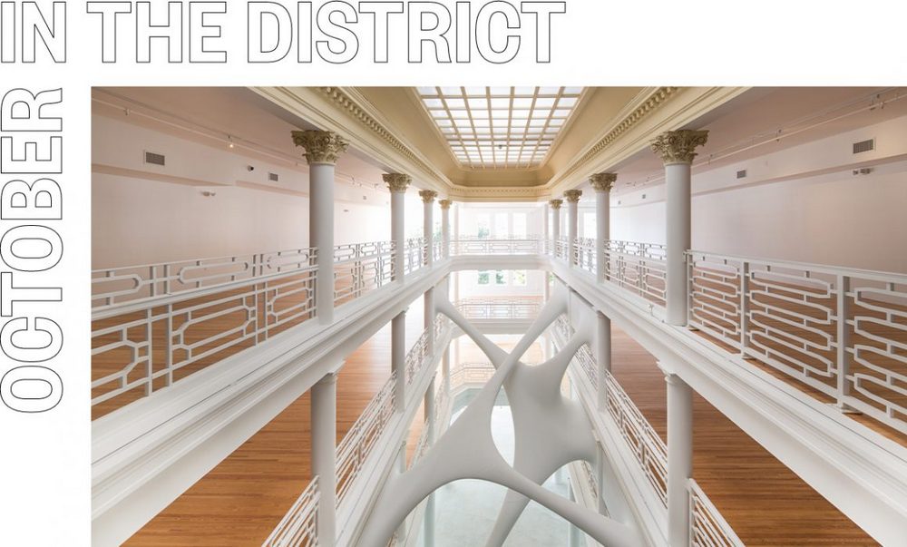 Art Shows in Miami for Fall 2020: MiamiCurated