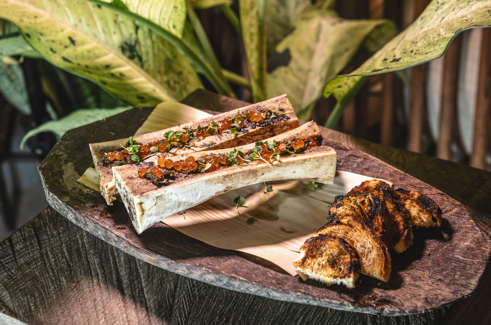 MILA Miami, a Review: MiamiCurated