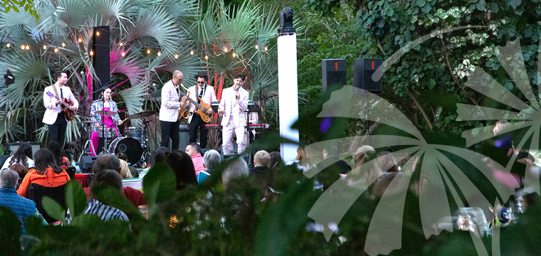 The Joyce Miami, a Review: MiamiCurated