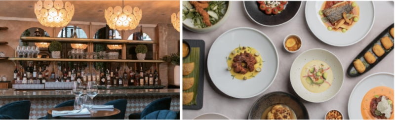 What to Do in Downtown Miami: MiamiCurated