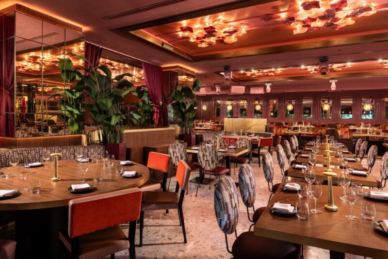Miami Restaurants with Shows: MiamiCurated